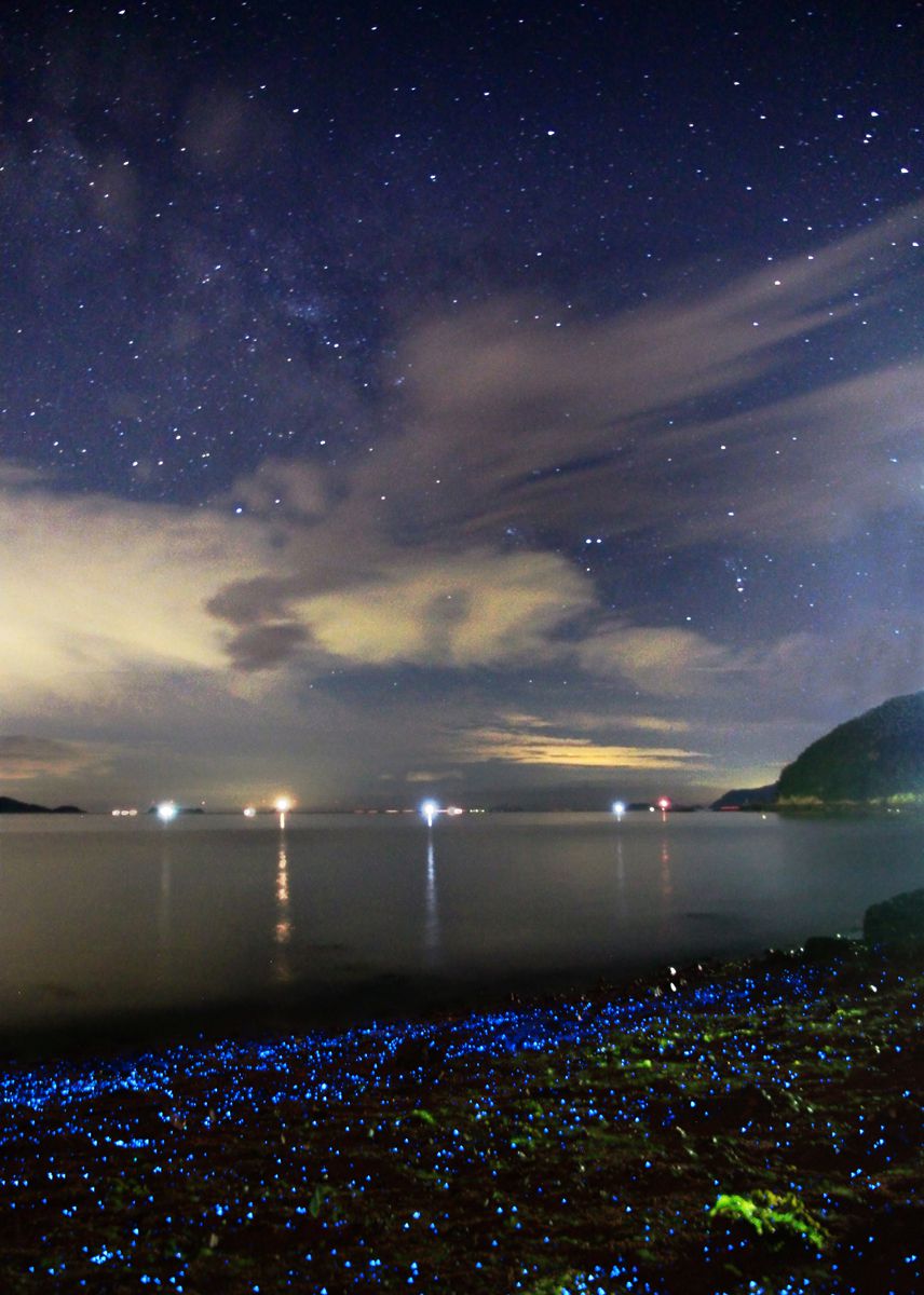 尾道星百景_046 | GANREF