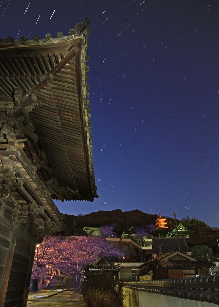 尾道星百景_053 | GANREF