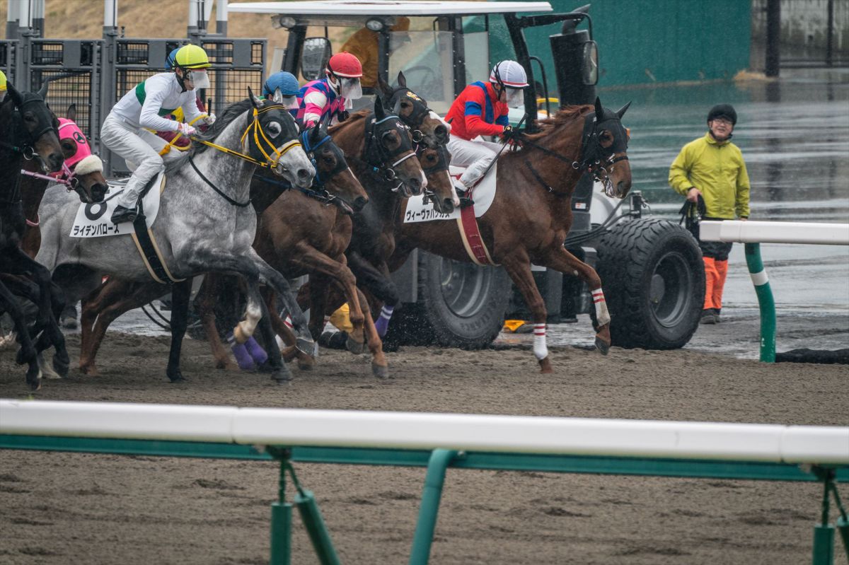 starting line | GANREF