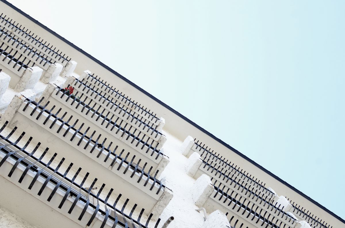 - ONE POINT - | GANREF