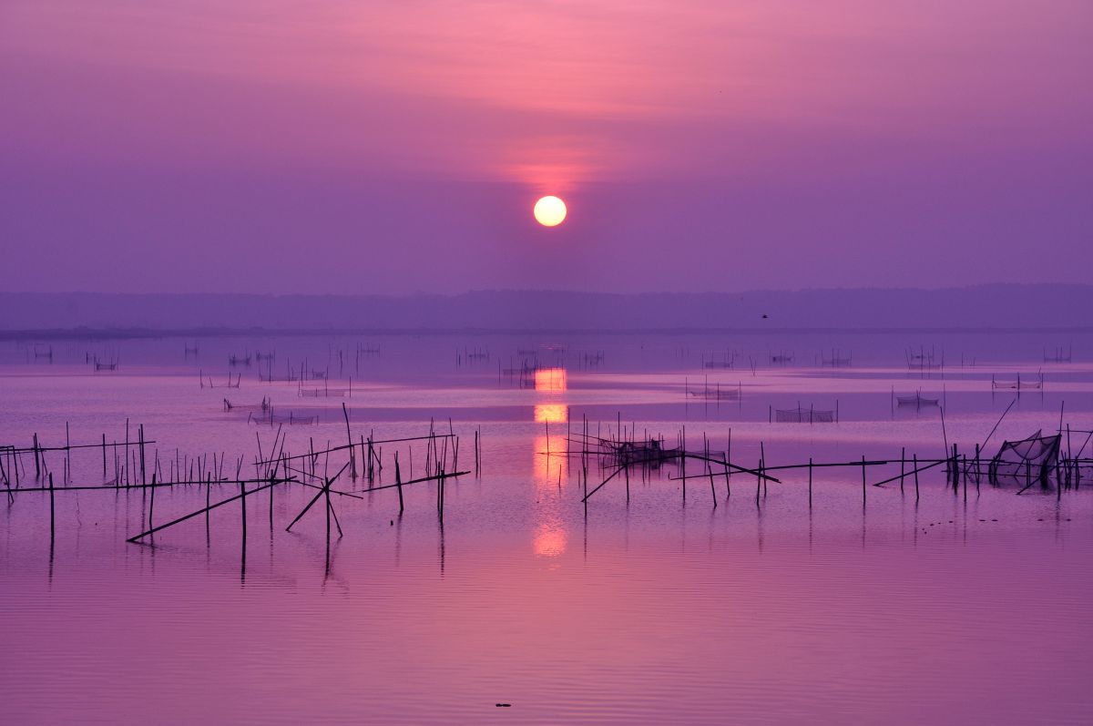 - Pink World - | GANREF