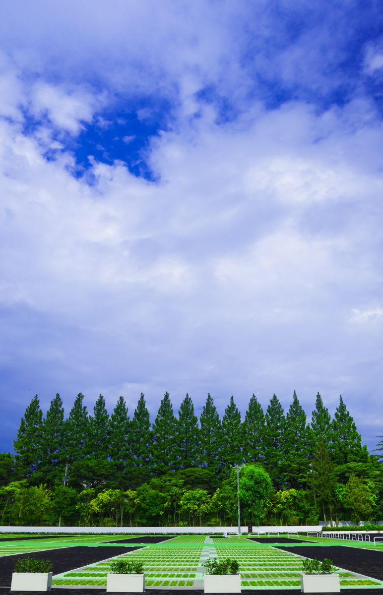 Geometric Trees | GANREF