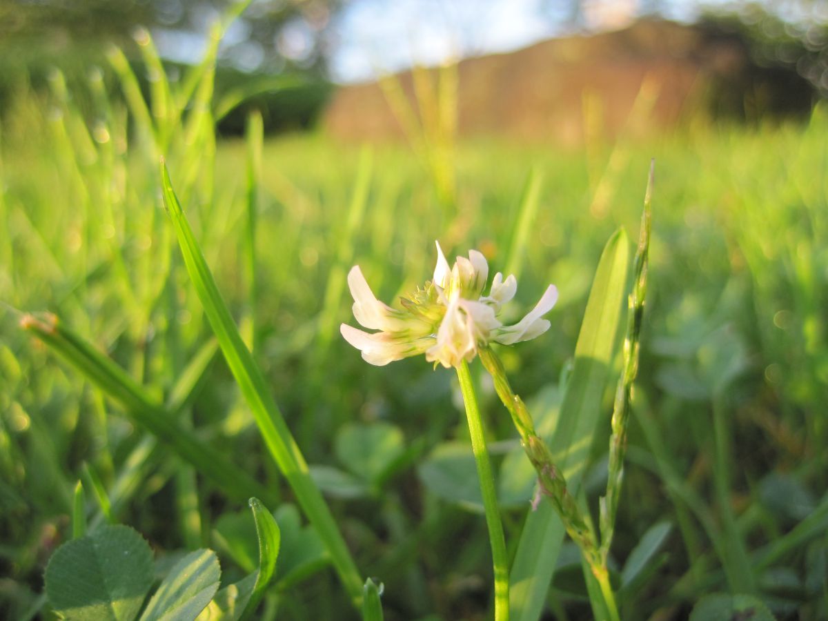 太陽を浴びて | GANREF
