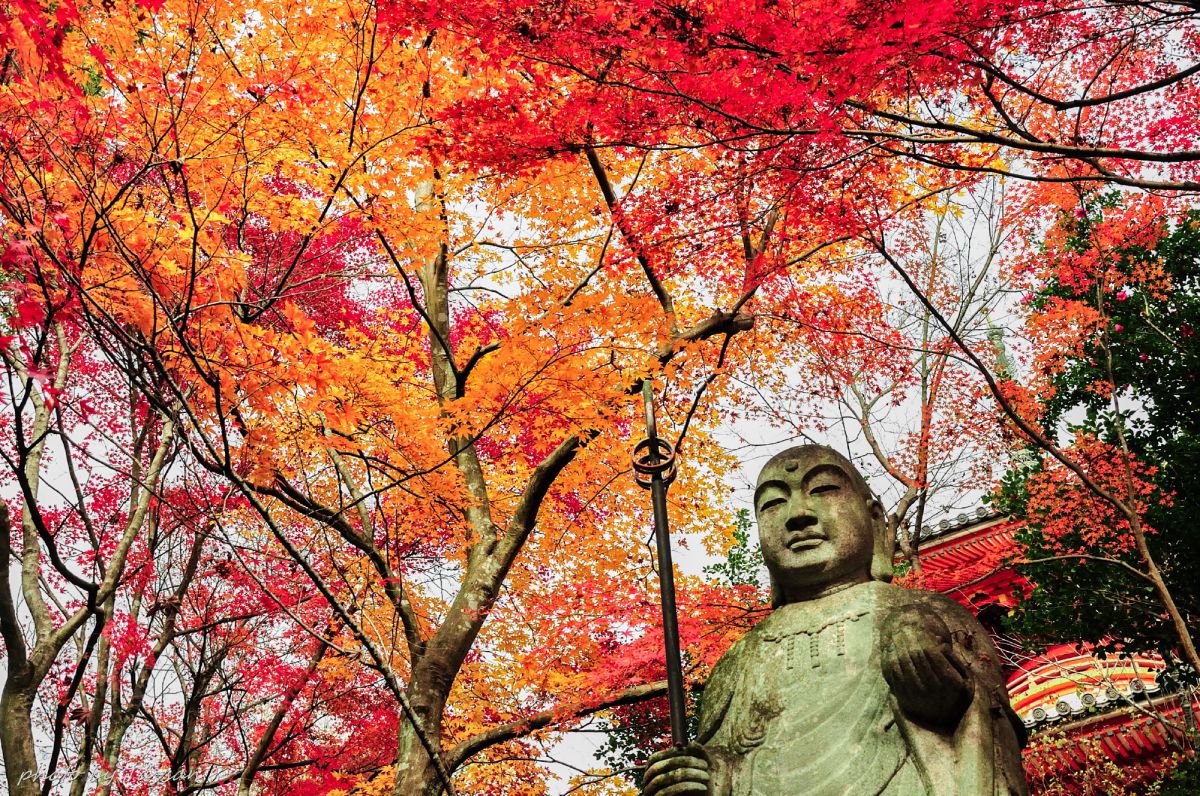 錫杖と紅葉 | GANREF