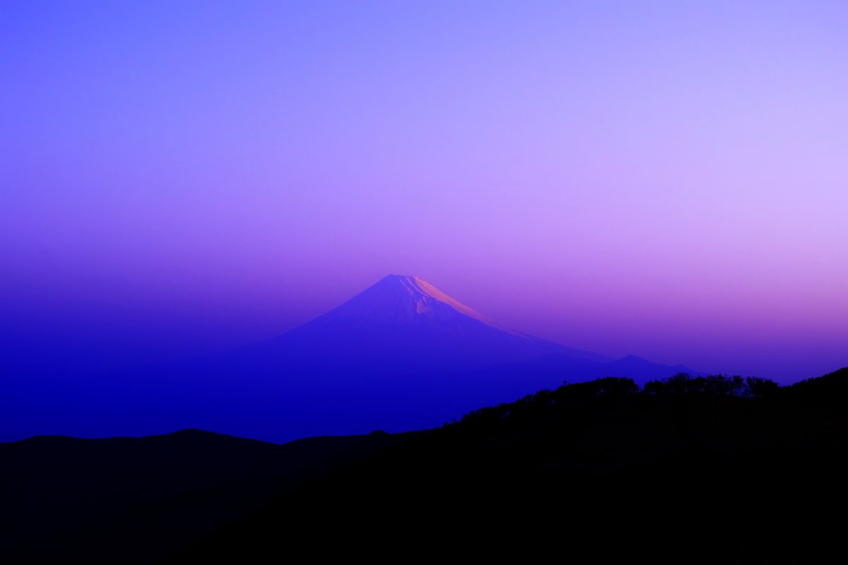 闇夜からの出現 | GANREF