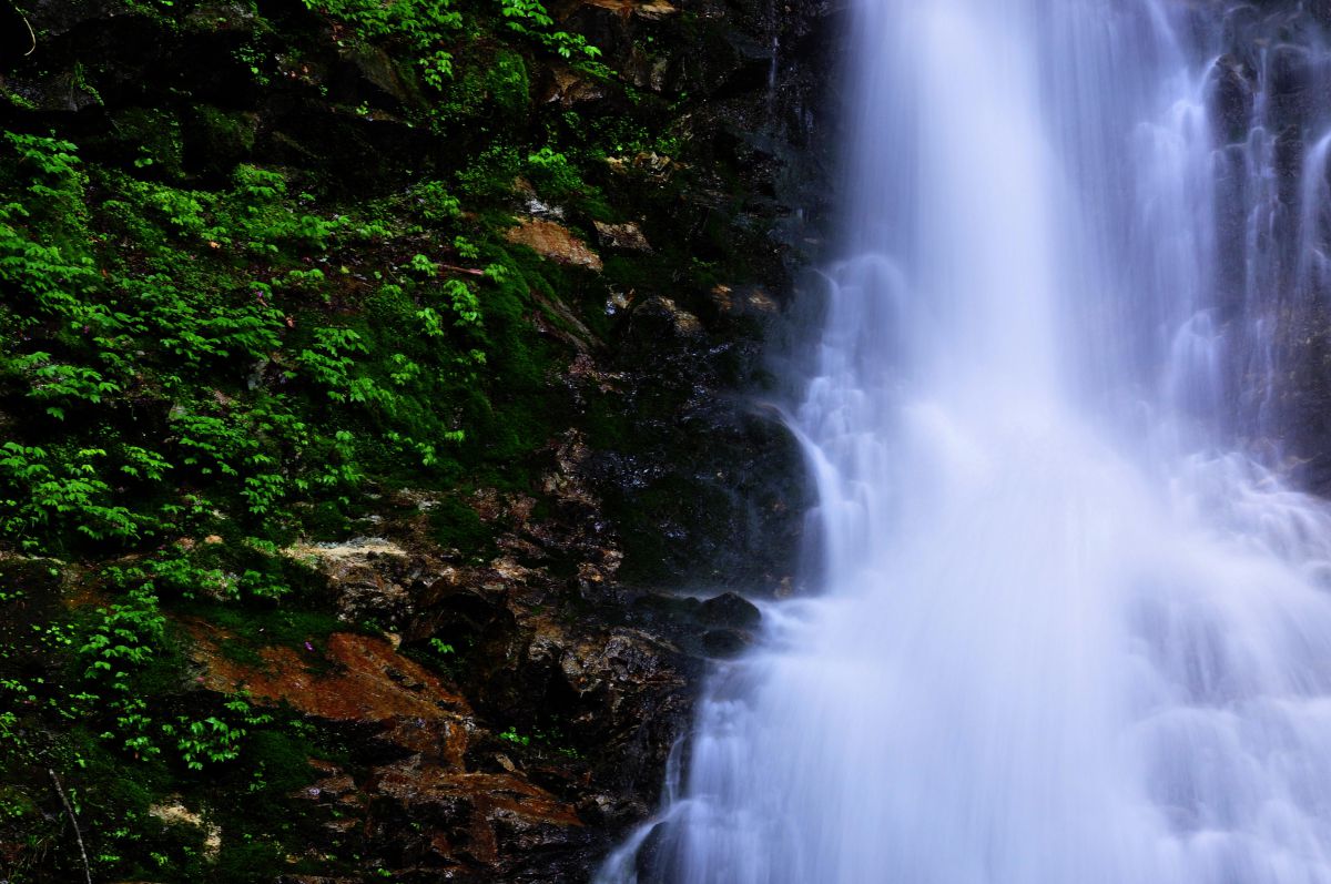 misty falls | GANREF