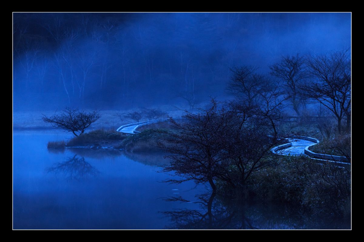 Way to in mist | GANREF