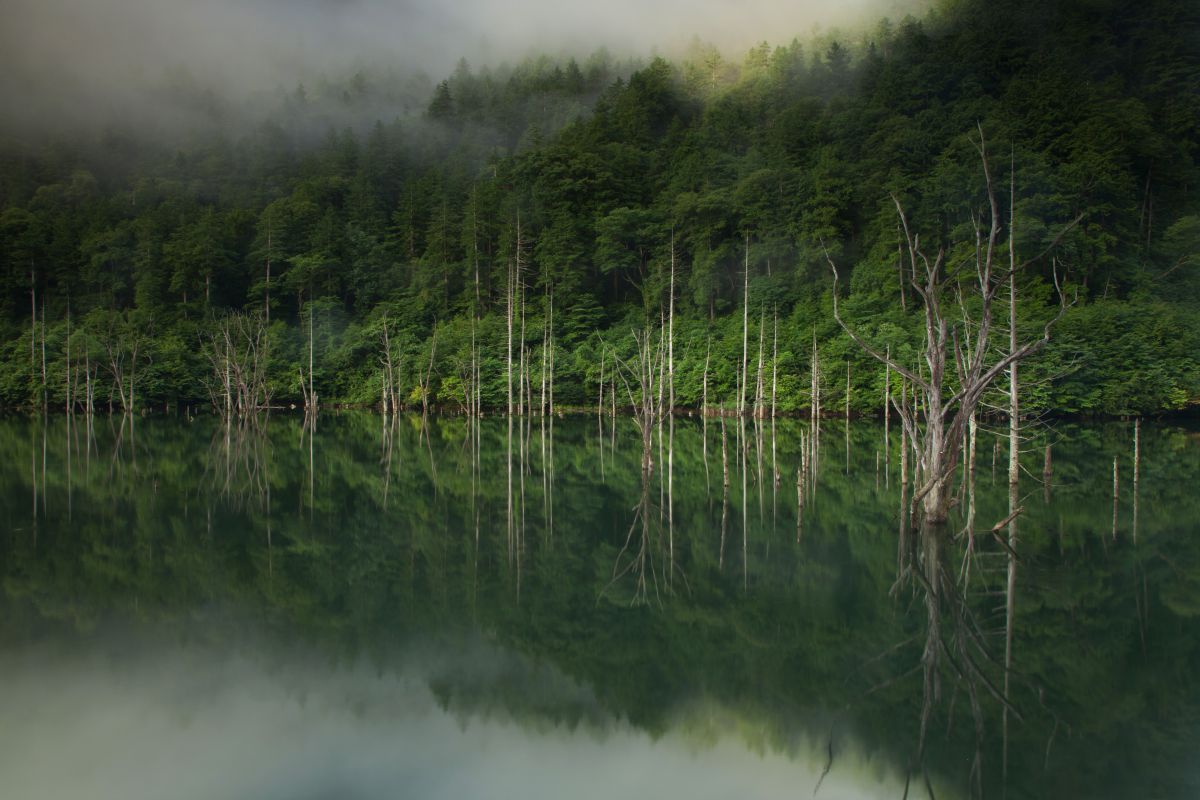 幻想の湖 | GANREF