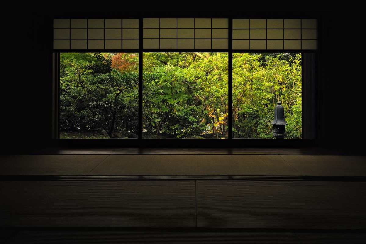 Green reflection | GANREF