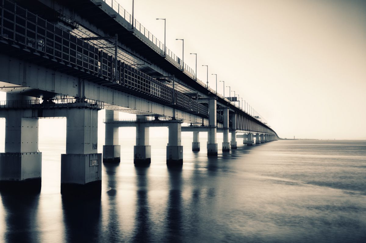 White foot shadow#2 | GANREF