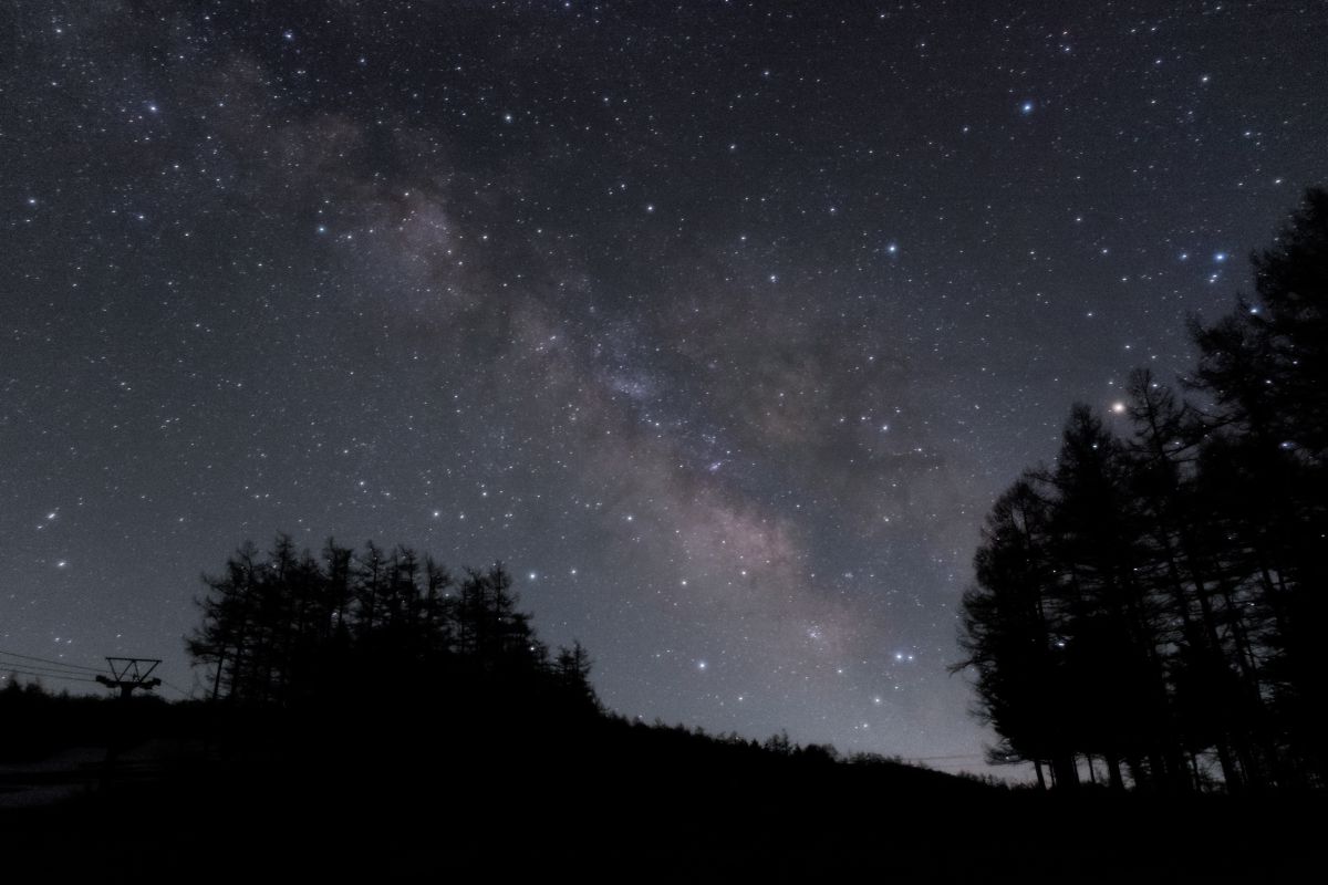 Stardust Memory 2014 | GANREF