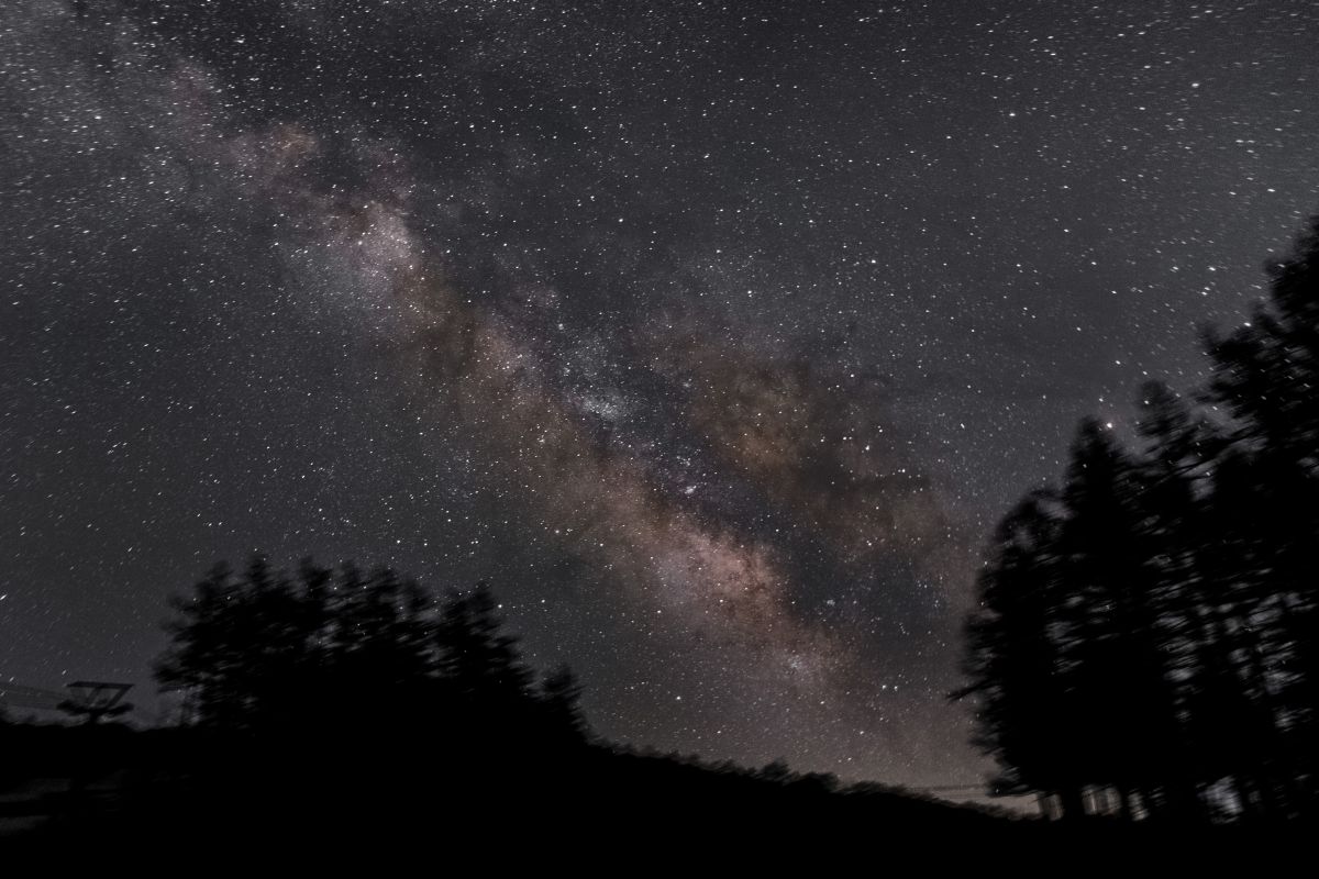 Stardust Memory 2014 | GANREF