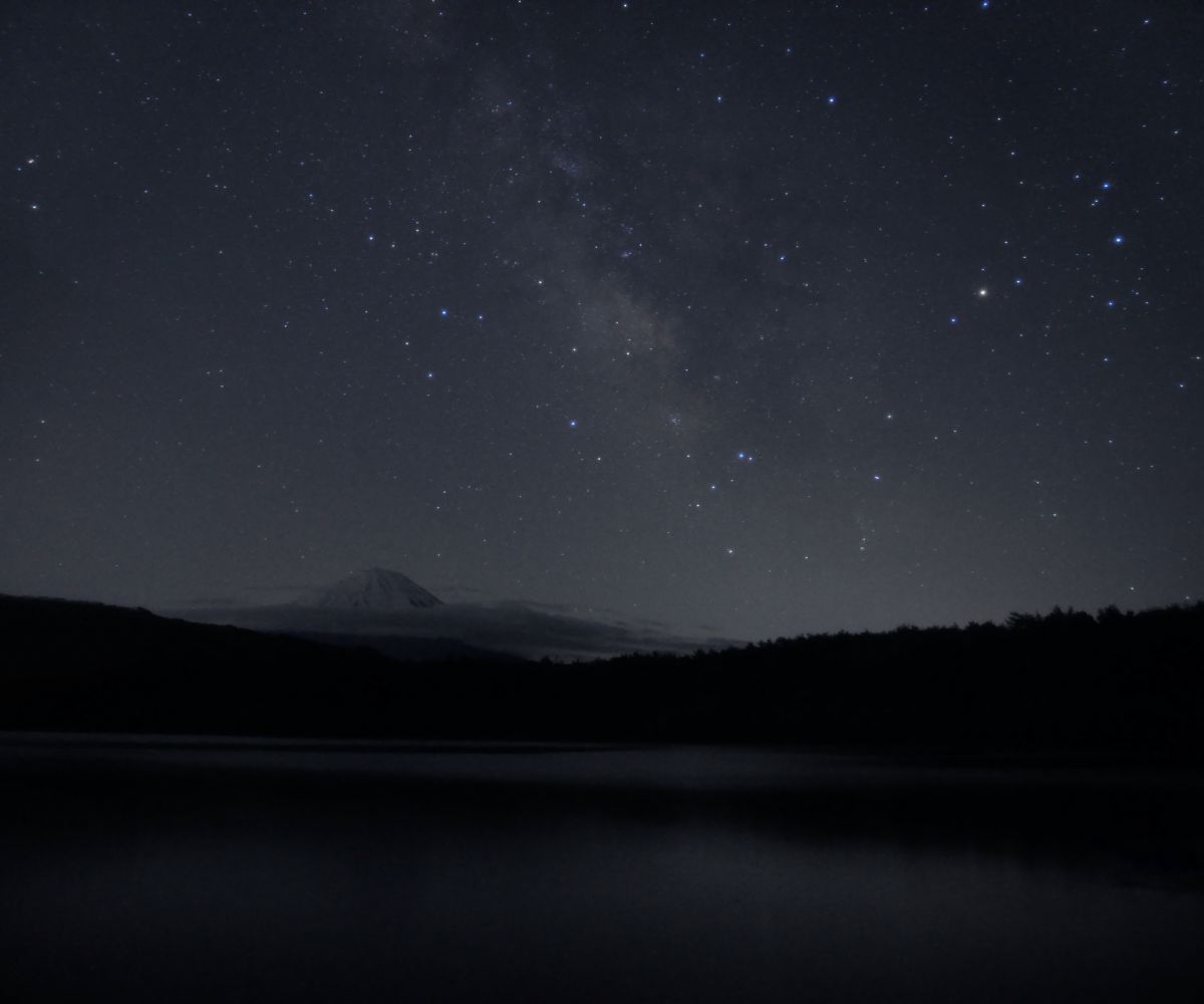 Stardust Memory | GANREF