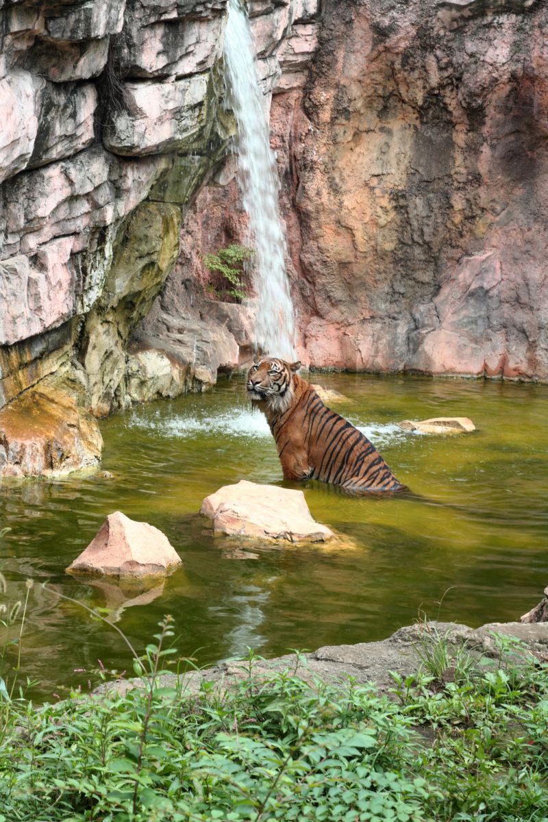 夏本番。 | GANREF