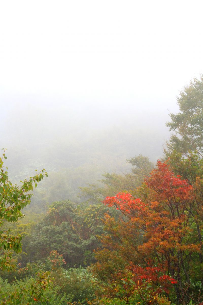 秋はこれから。 | GANREF