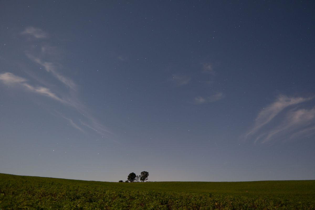 under the moon light | GANREF