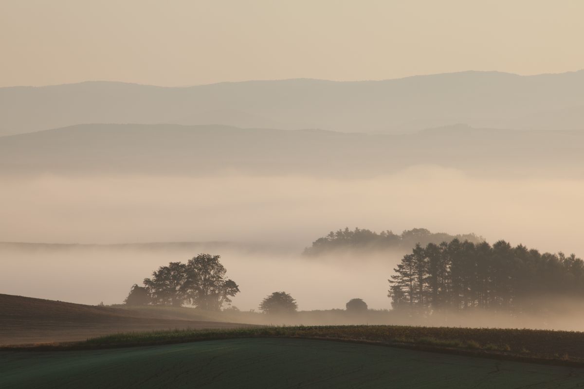 幻想的な丘の朝 | GANREF