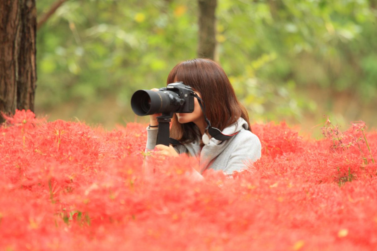 花に埋もれるカメラウーマン | GANREF