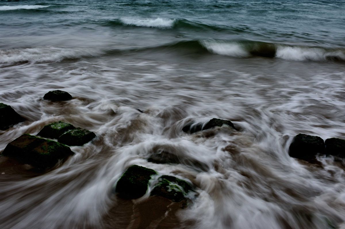 -NAmi- 模様。 | GANREF