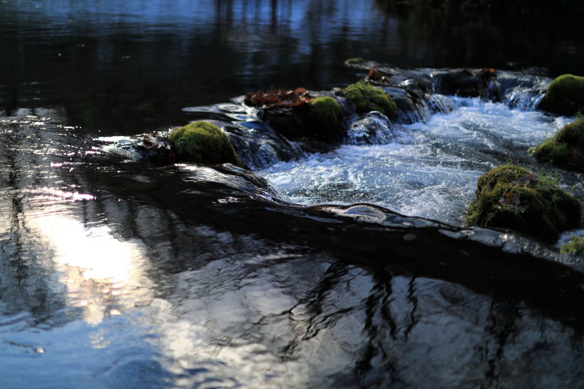 Spring water | GANREF