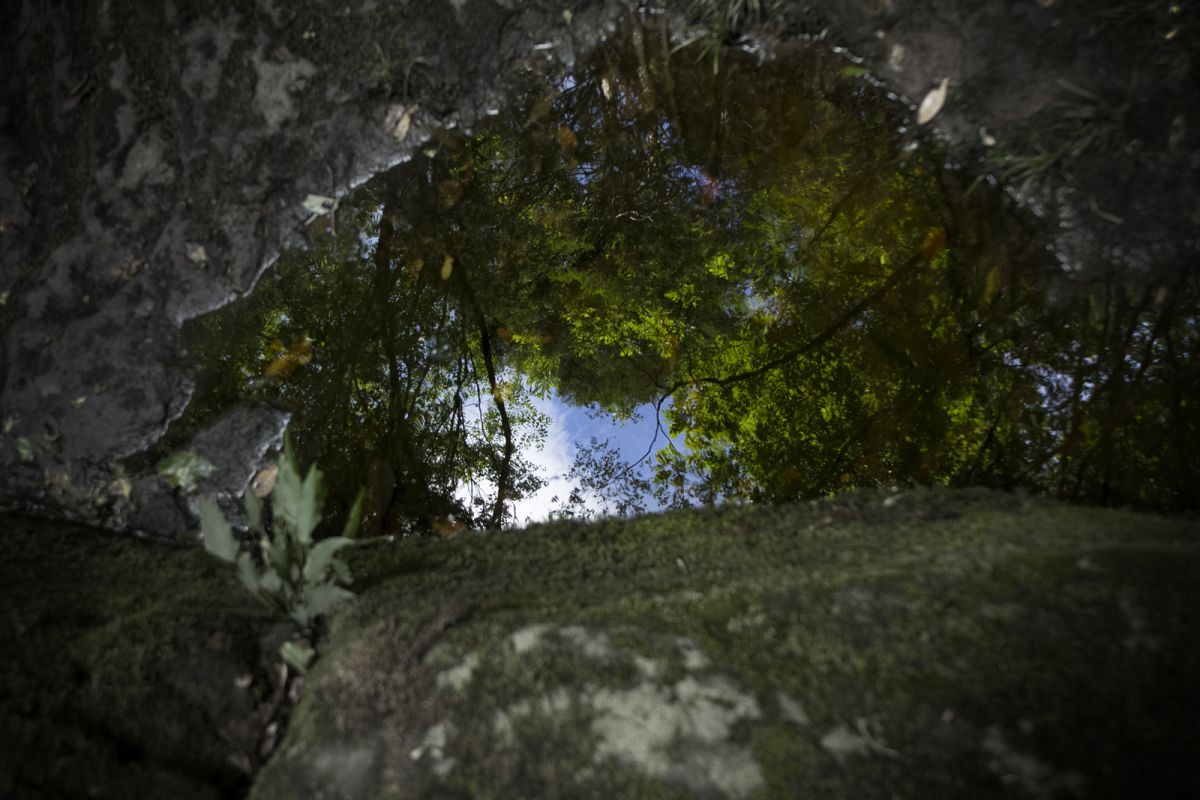 Blue Sky Under | GANREF