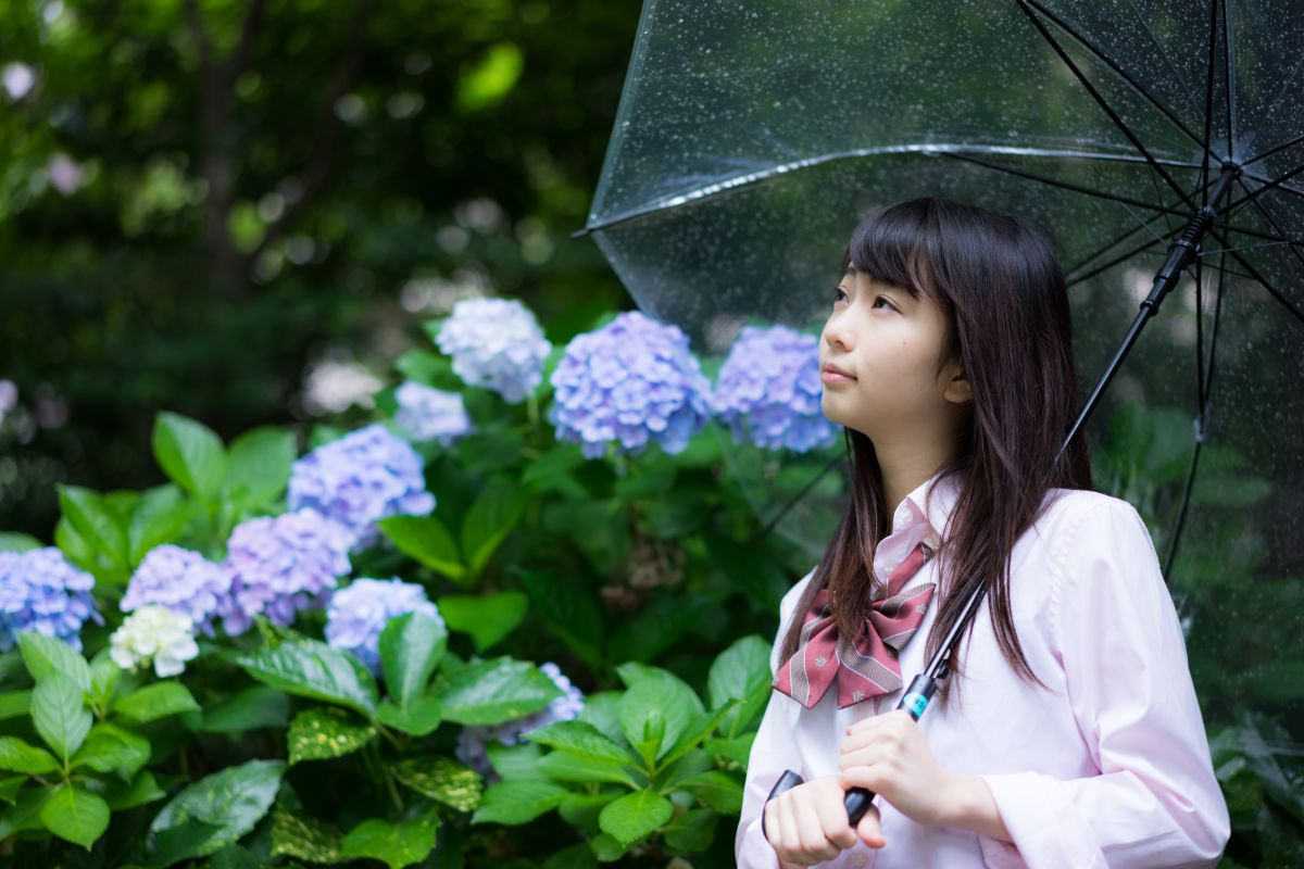 雨が降ったら | GANREF