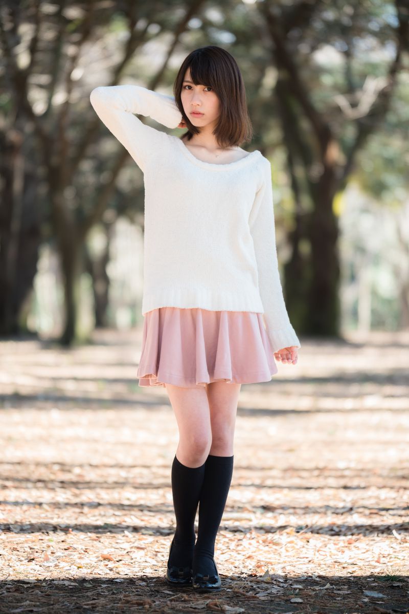 winter forest | GANREF