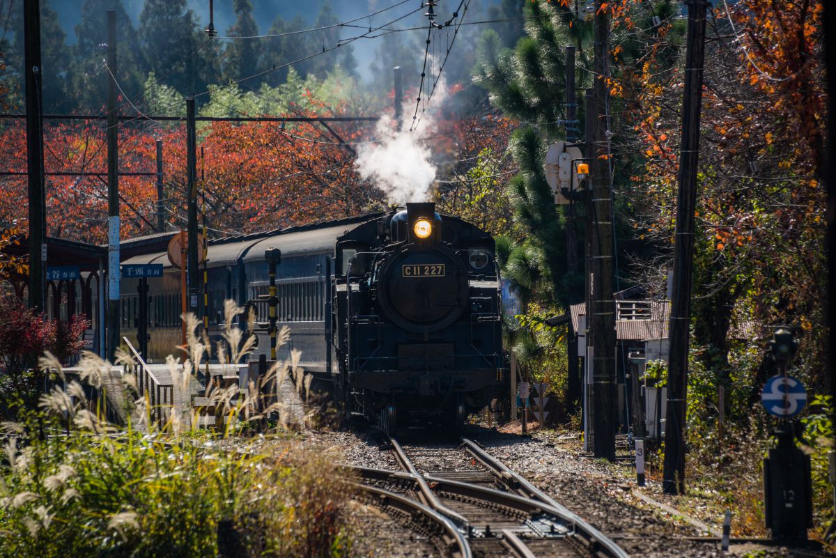 Autumn Express | GANREF