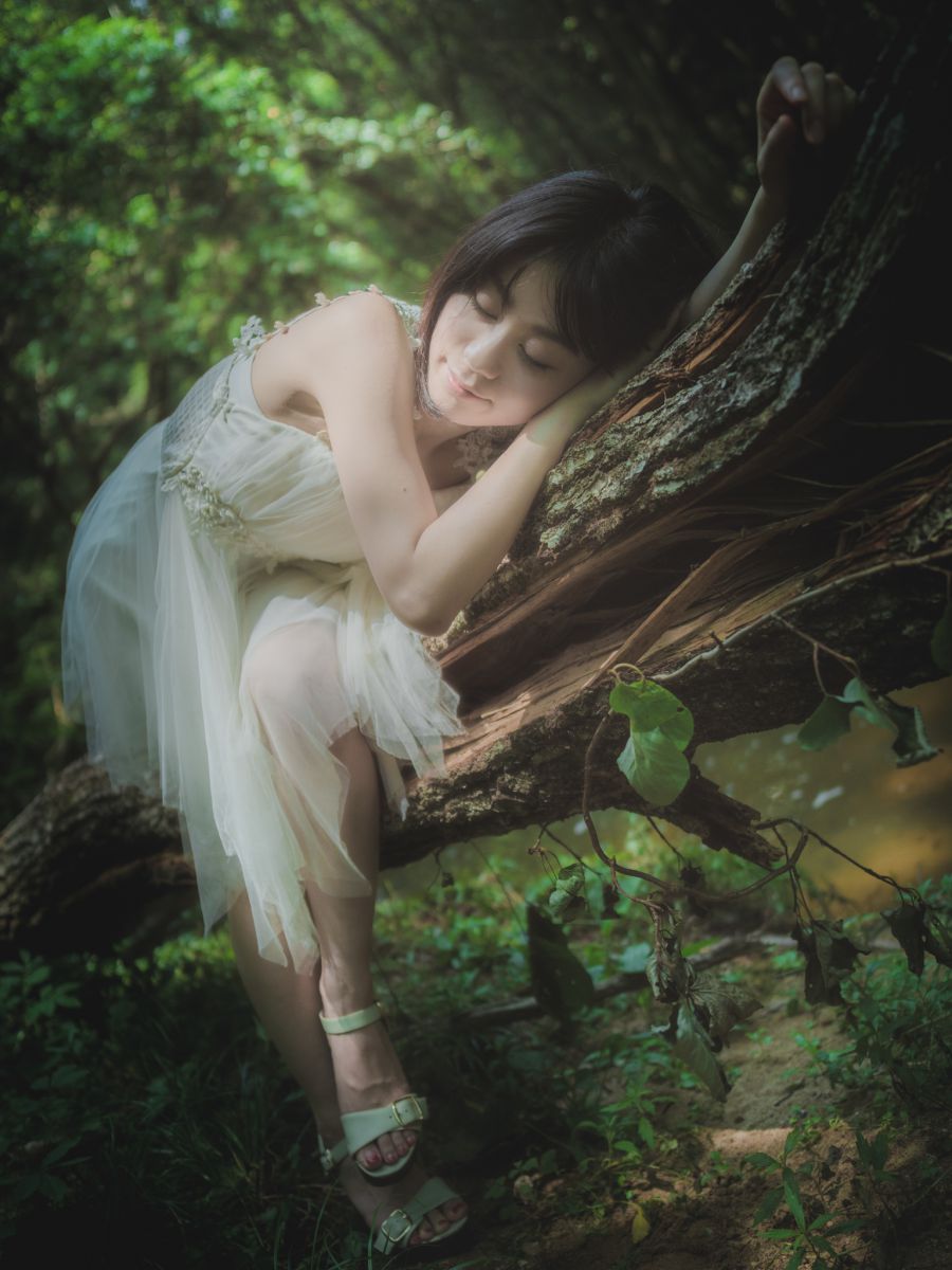 In the forest | GANREF