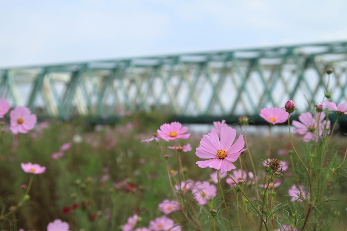 7D試し撮り | GANREF