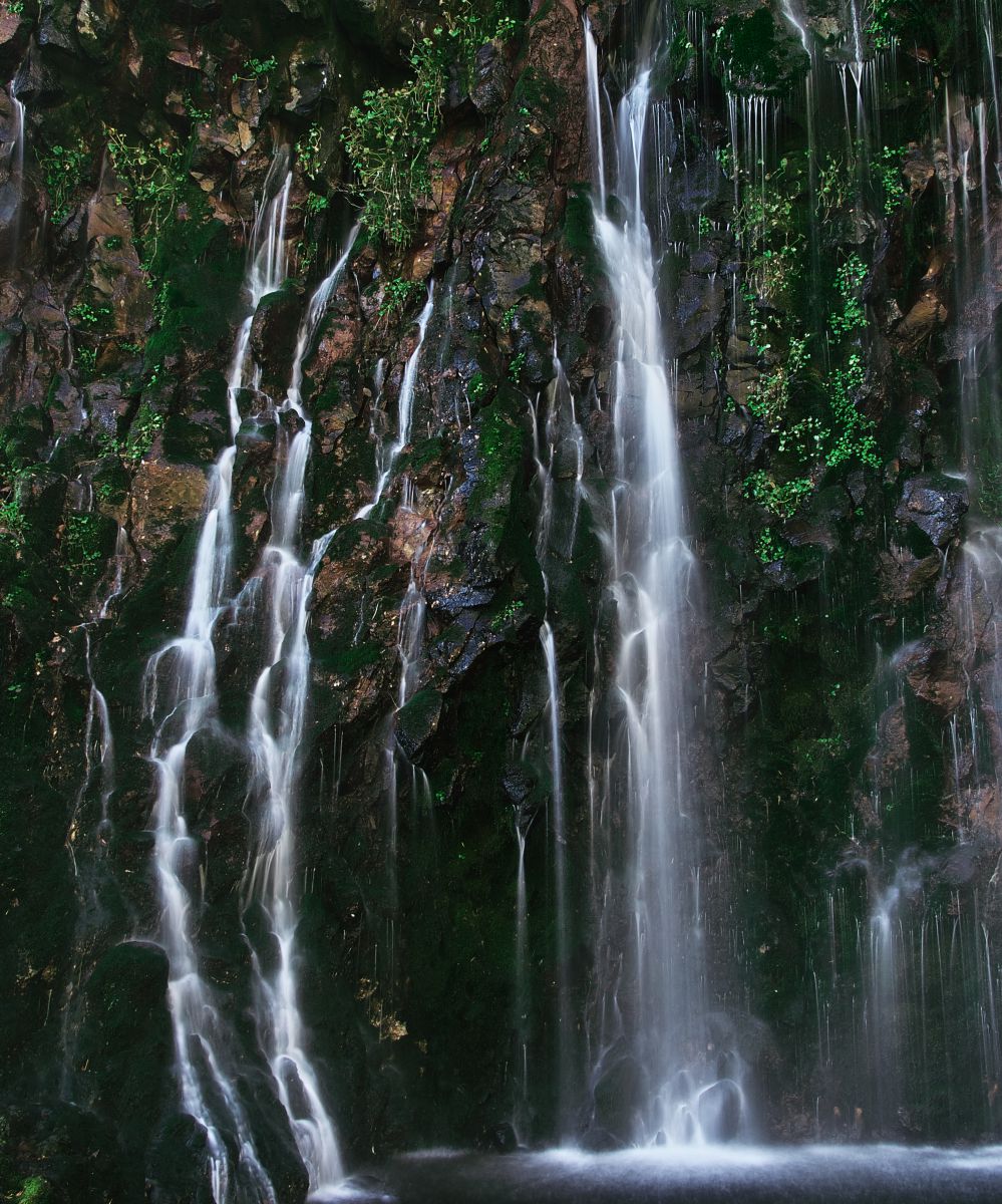 弓矢の流れ | GANREF