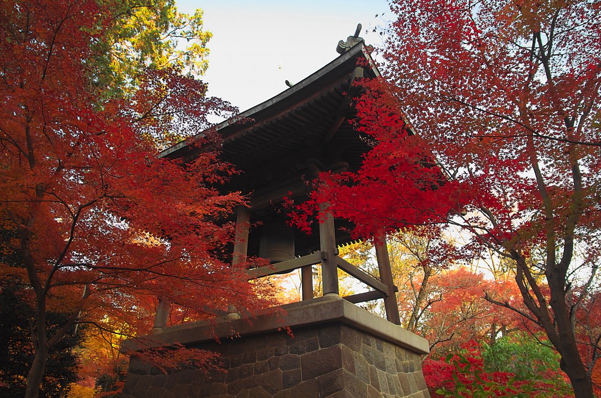 艶やか鐘撞き堂 | GANREF