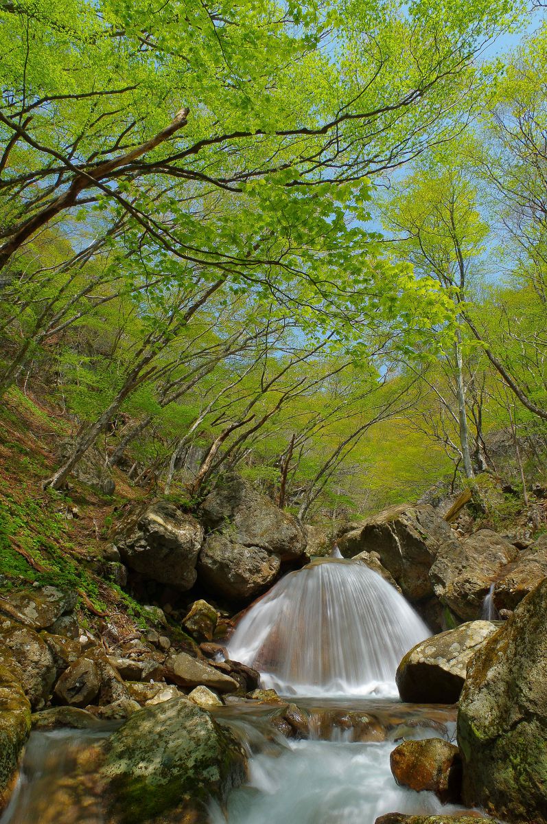 新緑と三ヶ月の滝 | GANREF