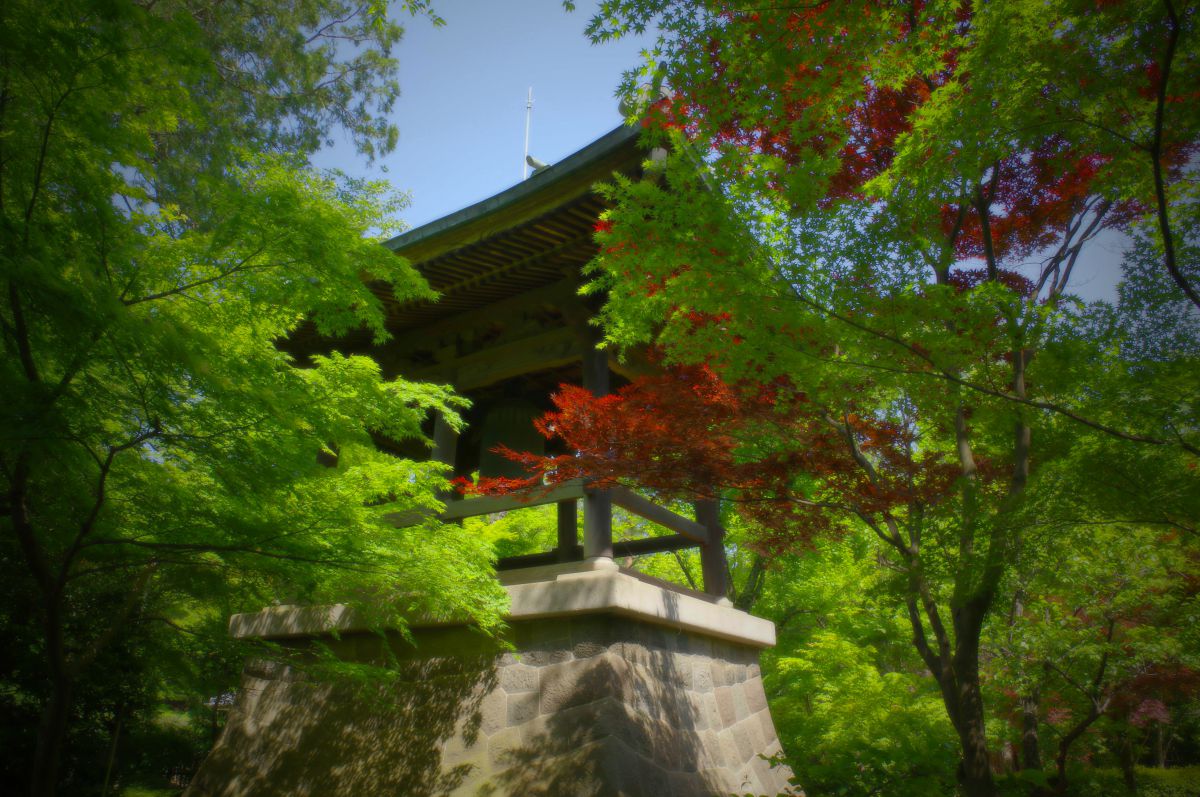 新緑の鐘撞き堂 | GANREF
