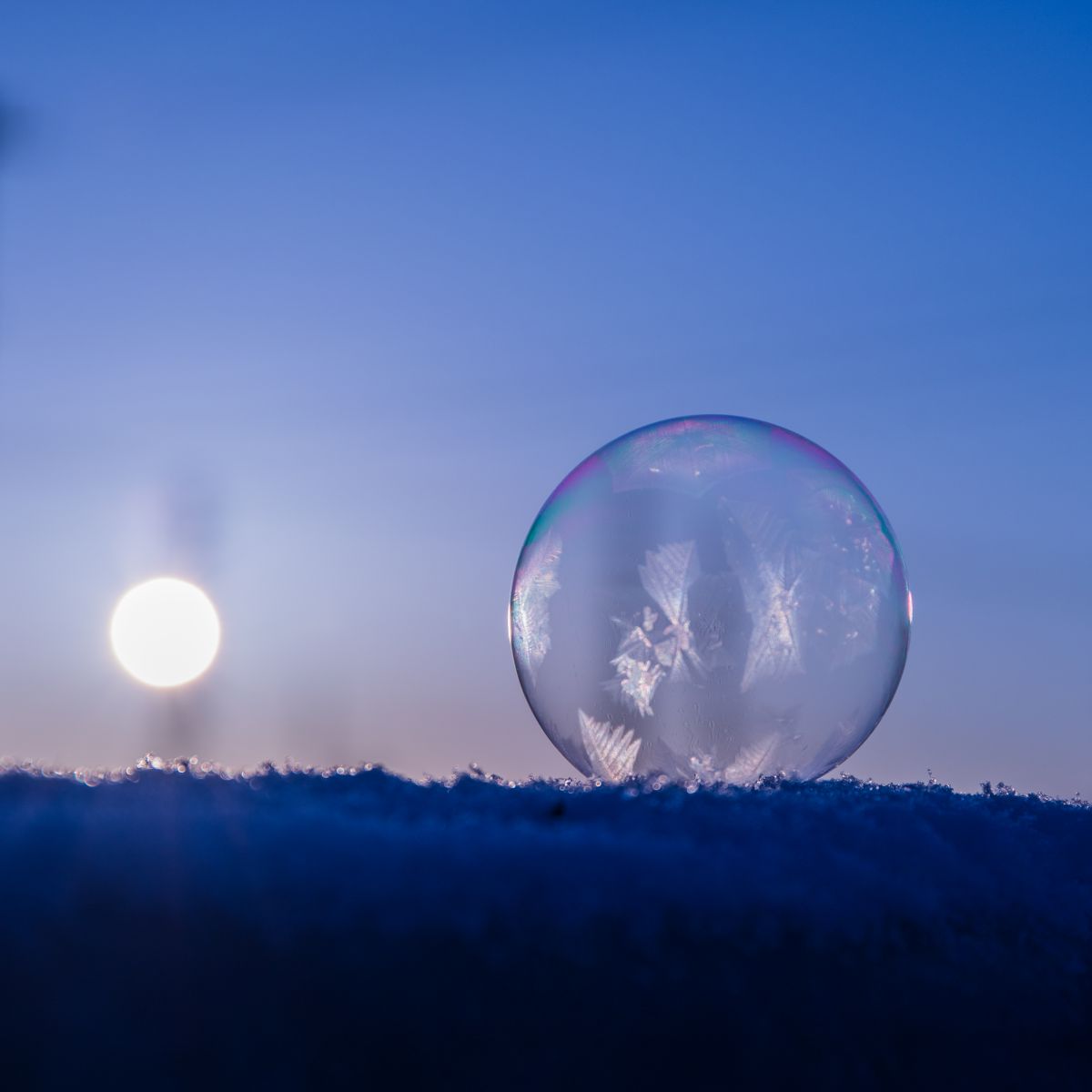 frozen bubble | GANREF