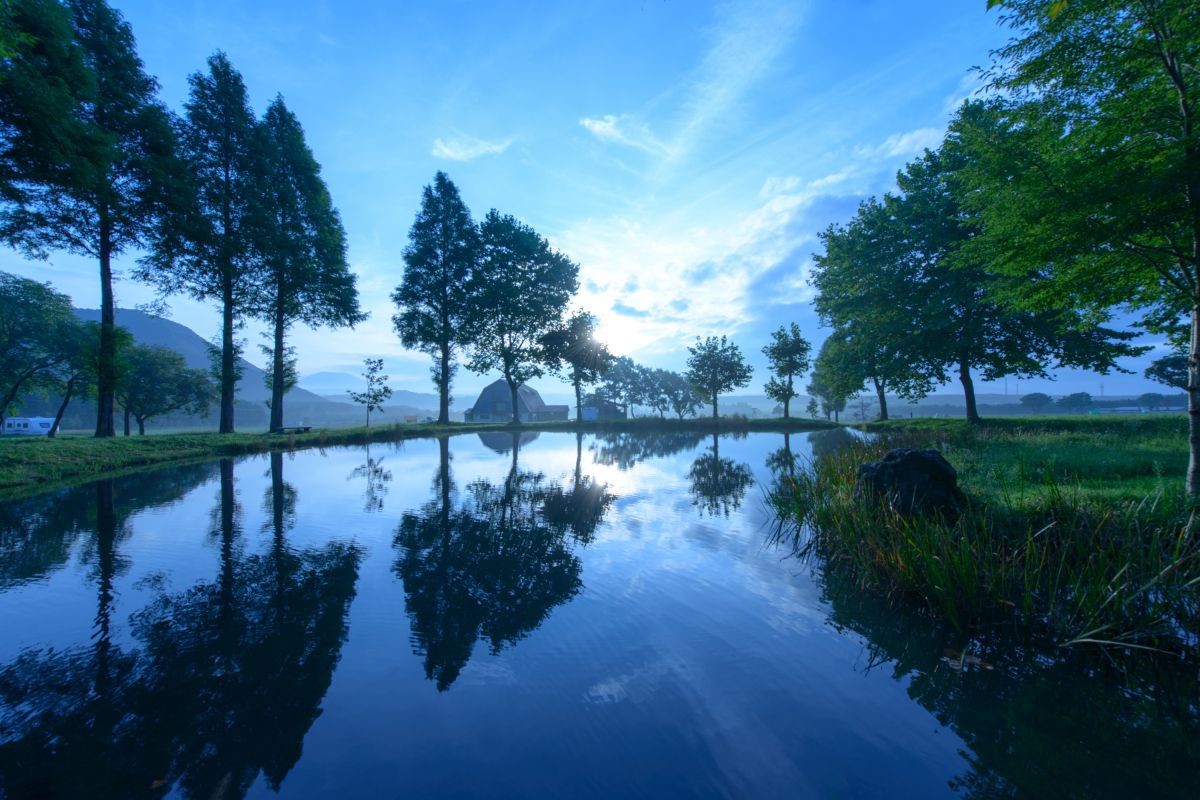 ミズカガミ | GANREF