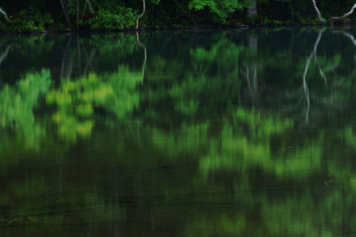 green mirror | GANREF