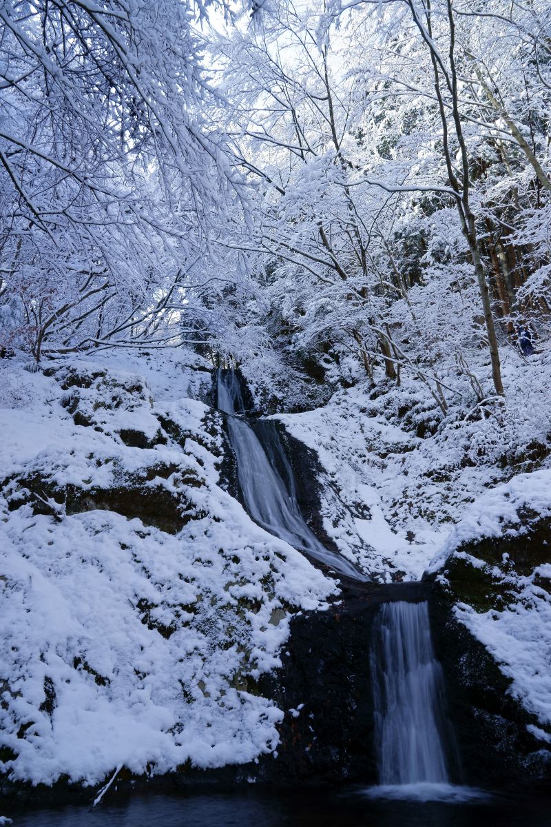 white world | GANREF