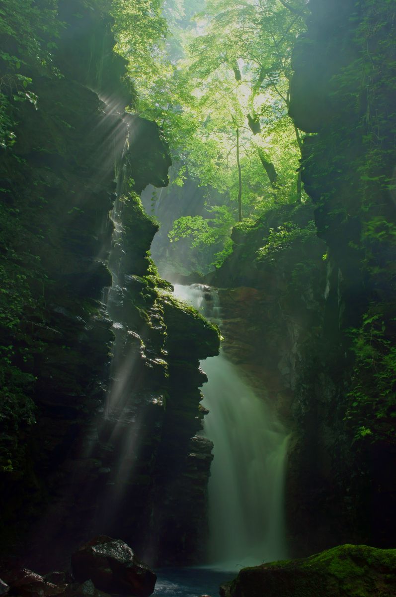 shower light | GANREF