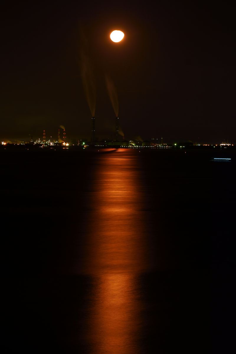 red moonlight | GANREF