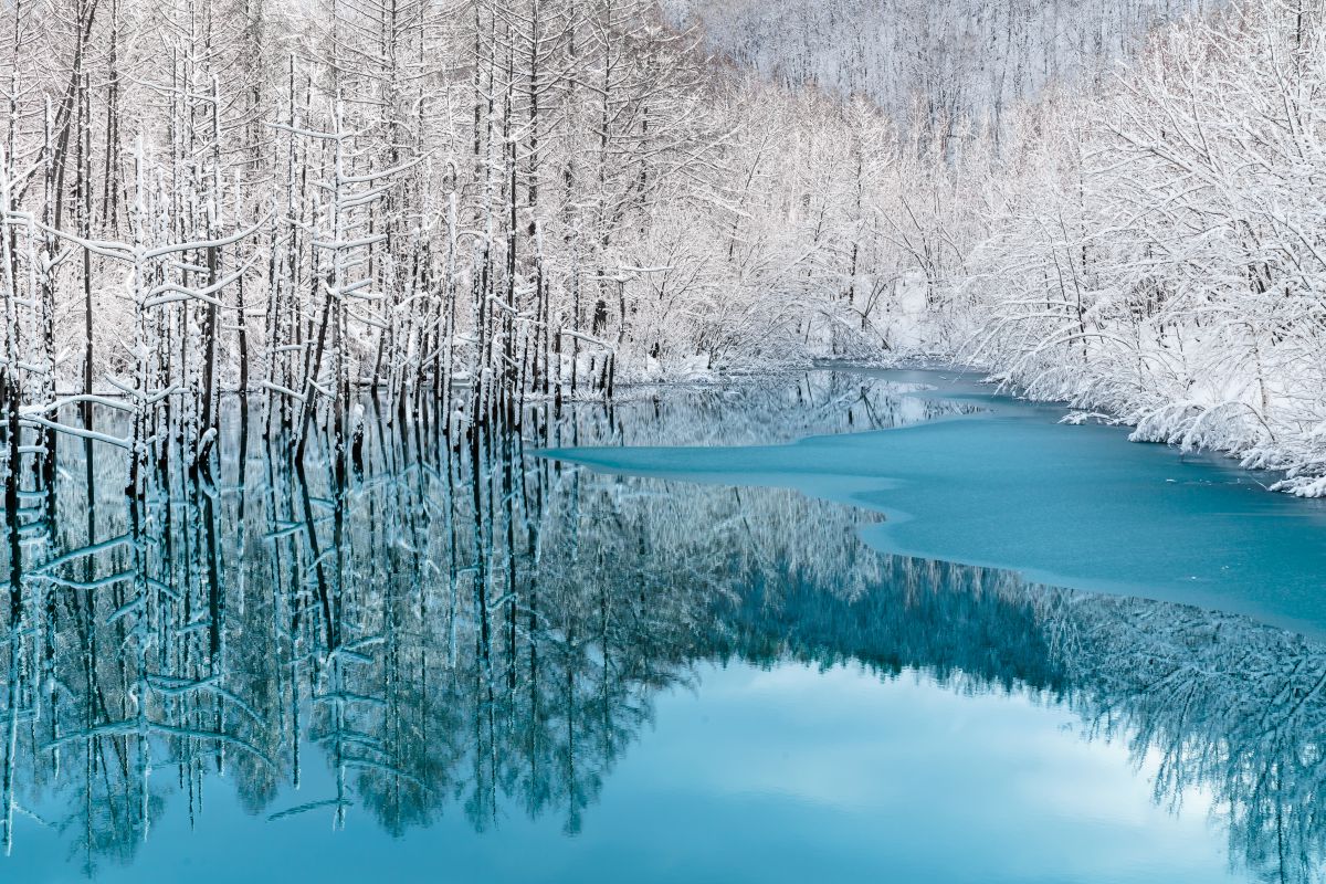 Cold Blue pond | GANREF