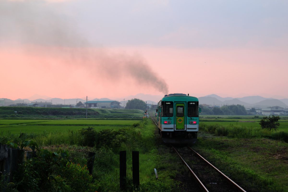 また明日 | GANREF
