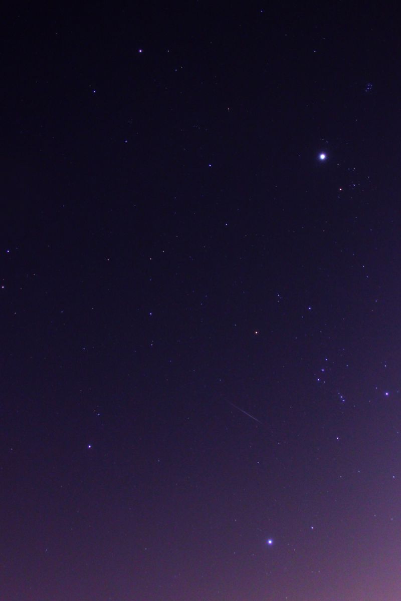 The Winter's Diamond | GANREF