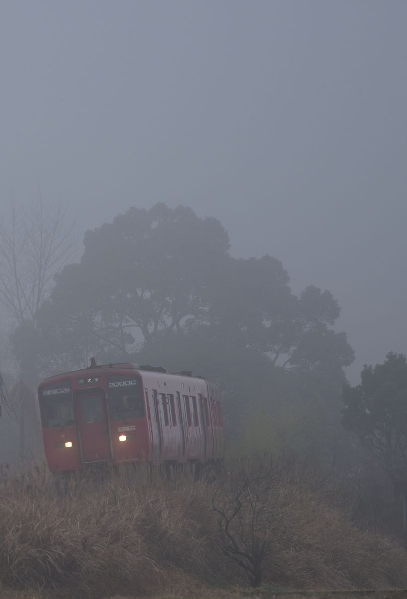 foggy railroad | GANREF