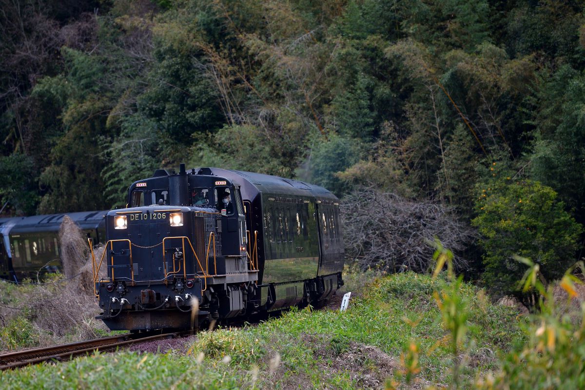 DL活躍中 | GANREF