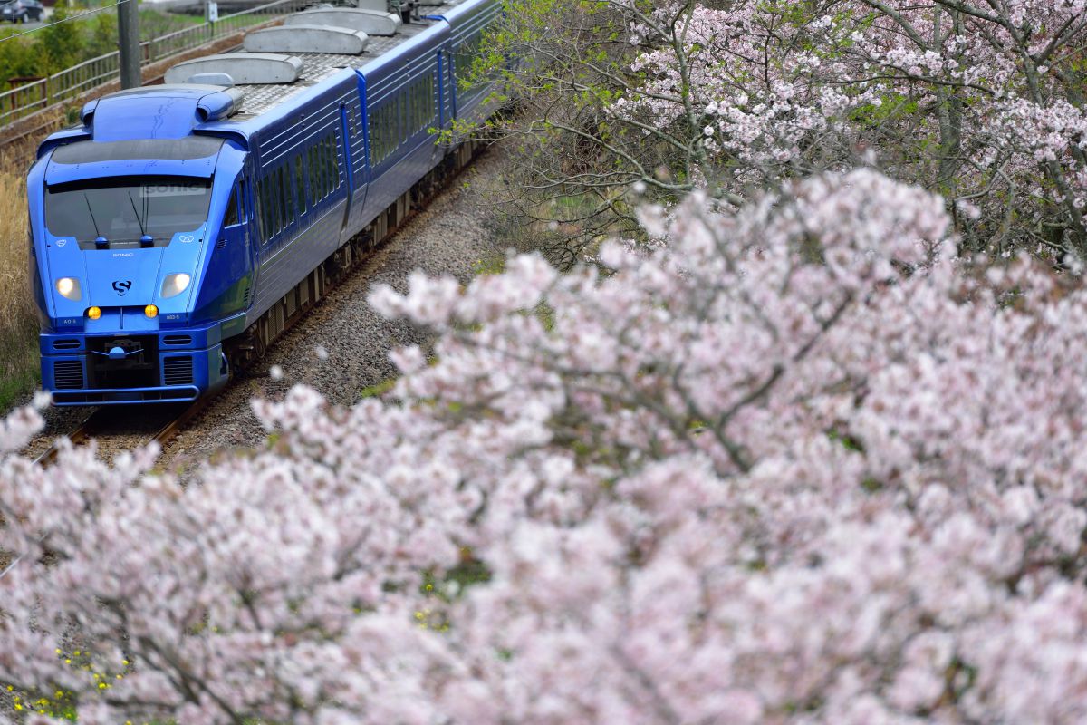 さくらSONIC | GANREF