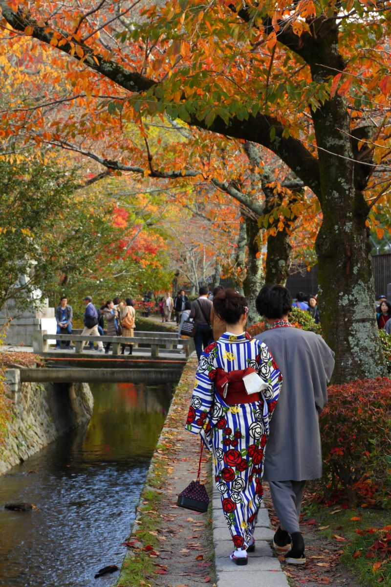 紅葉散策 | GANREF