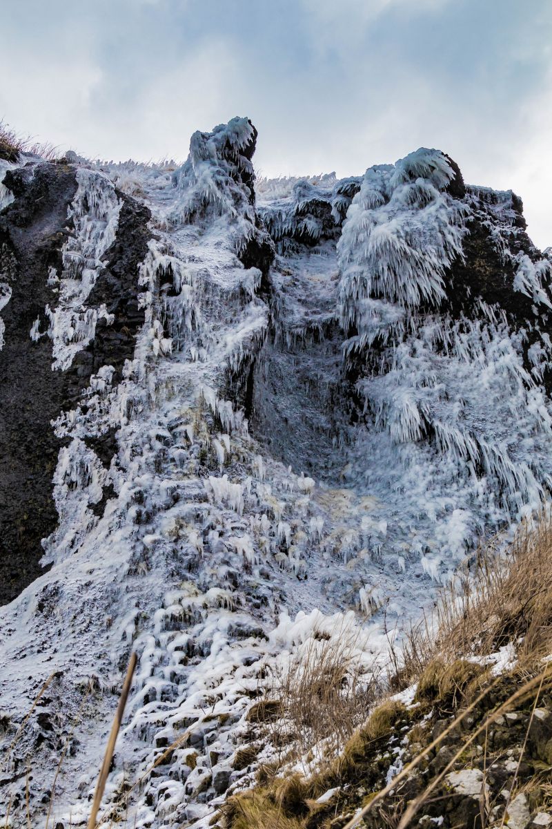 ICE MONSTER | GANREF