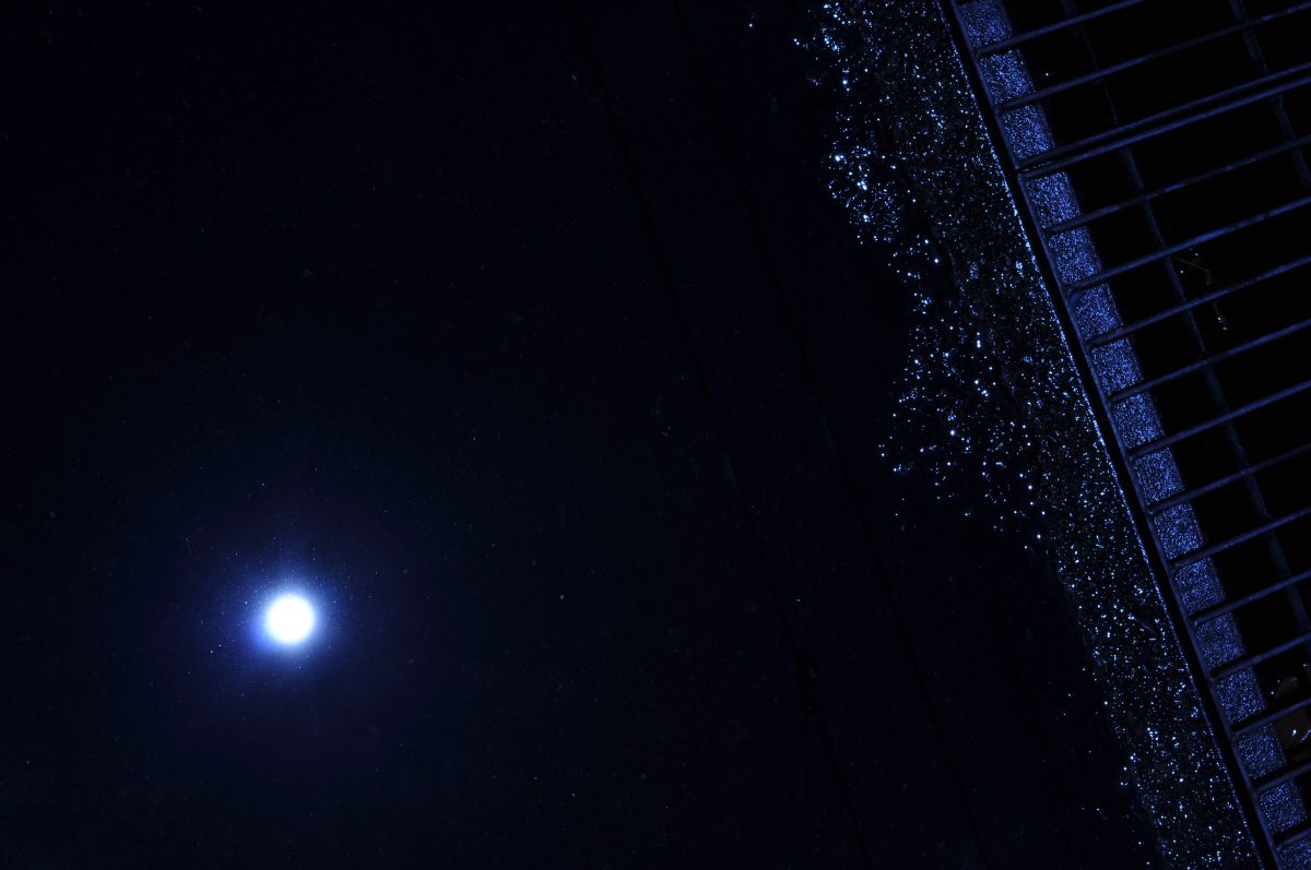 the ground space | GANREF