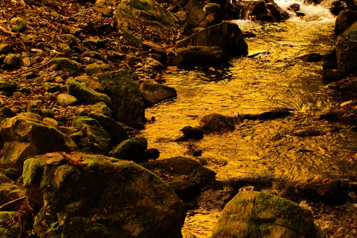 River of gold | GANREF